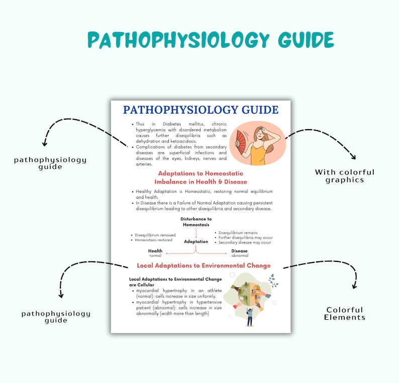 Pathophysiology Study Guide Bundle, Pathophysiology Nursing, Nursing ...