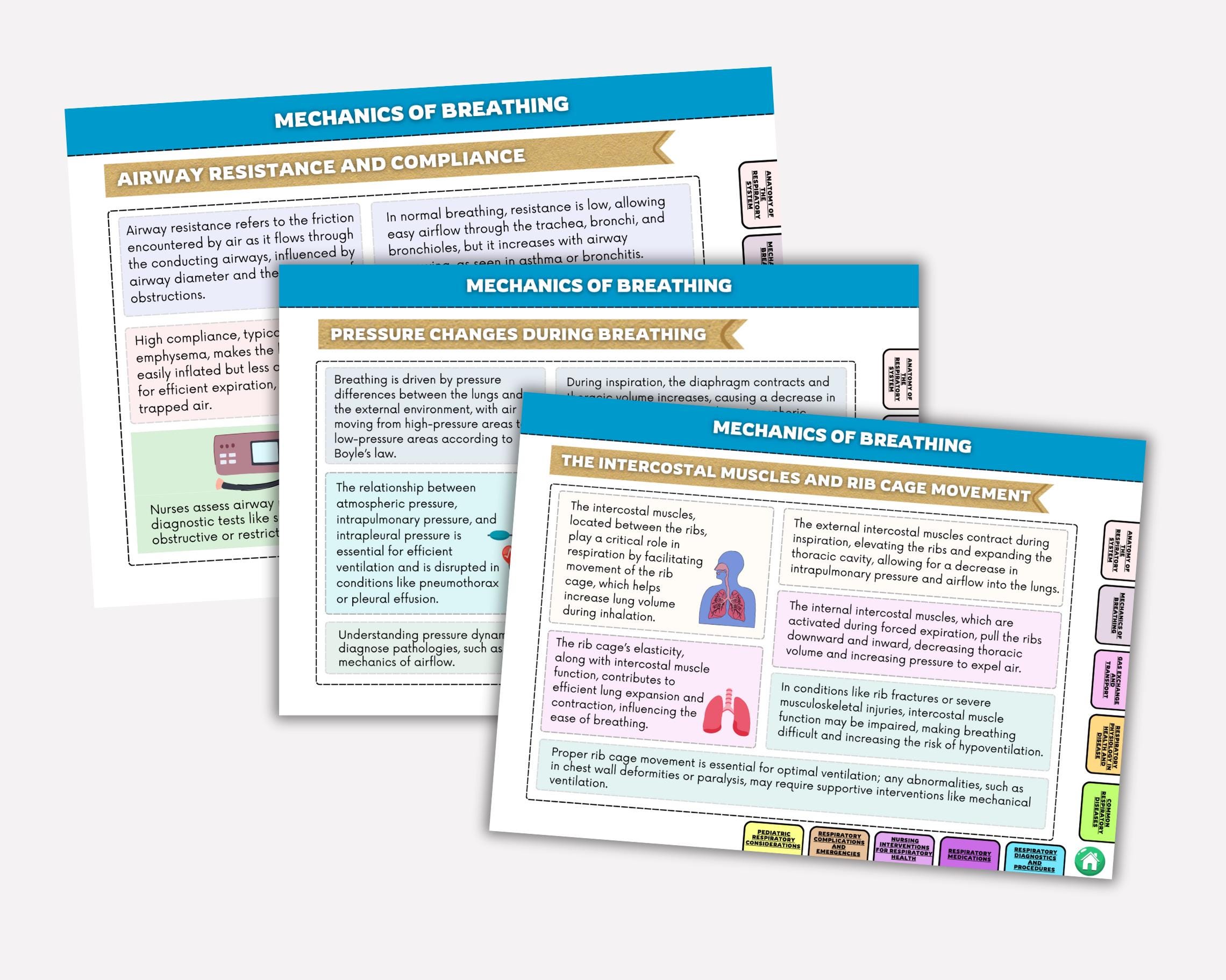 Respiratory System Flashcards Printable | Nursing Study Cards | Anatomy ...
