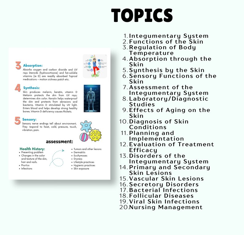 Integumentary System Study Guide: Anatomy & Physiology Notes (digital ...