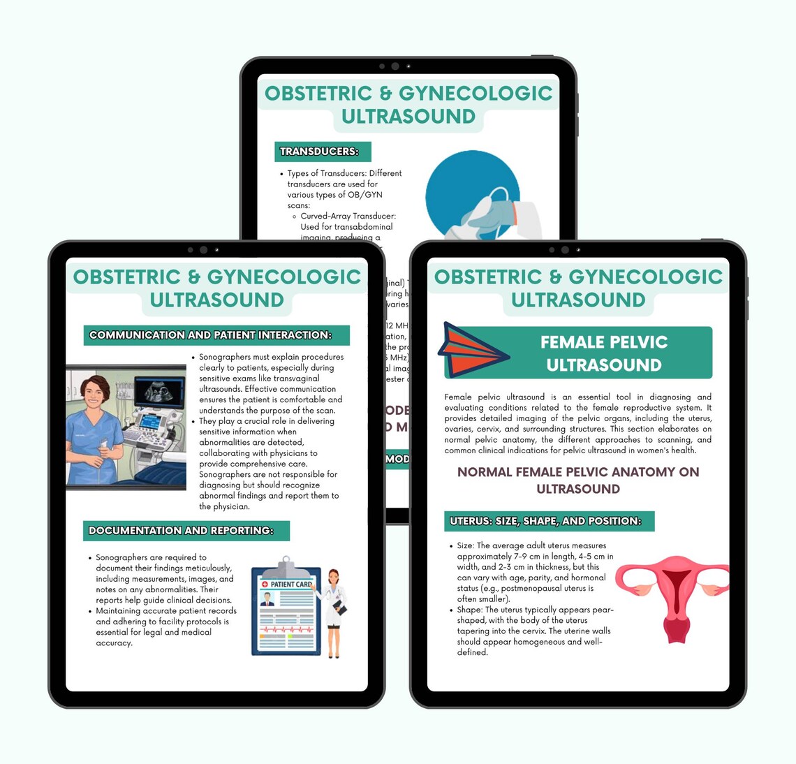 Obstetric and Gynecologic Ultrasound Study Guide Comprehensive OB/GYN ...