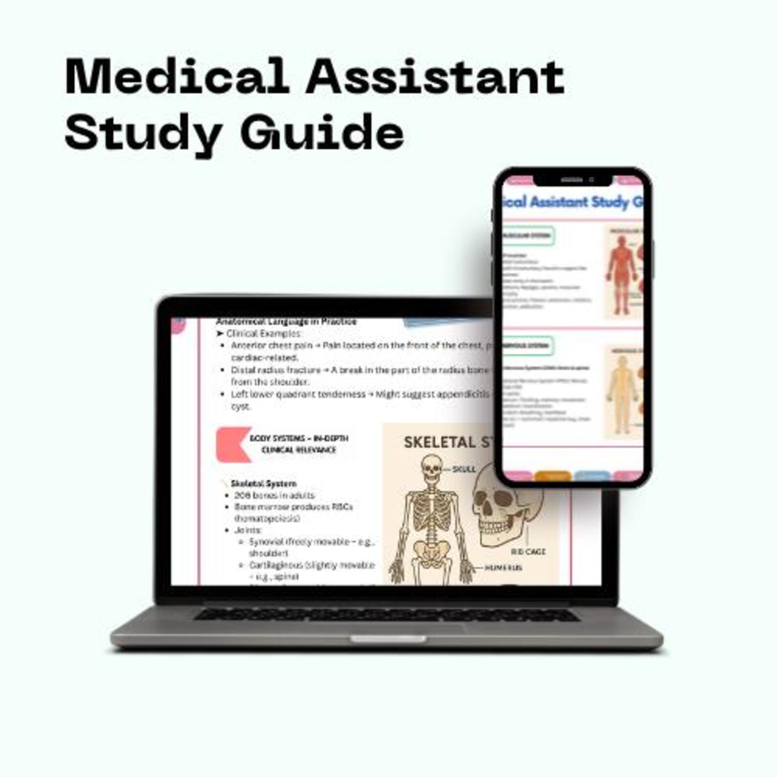 Medical Assistant Study Guide: CMA, MA Notes - 2026 Edition - Etsy