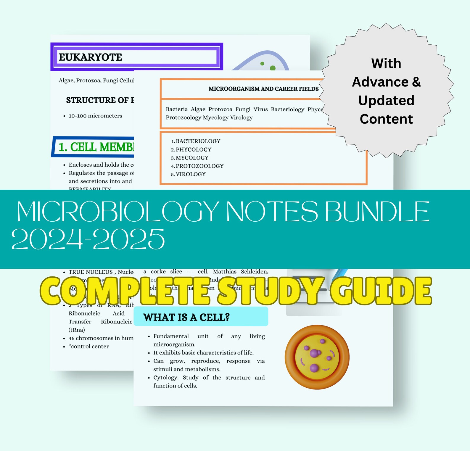 Microbiology Notes: Medical Student Masterclass Cheat Sheet (digital ...