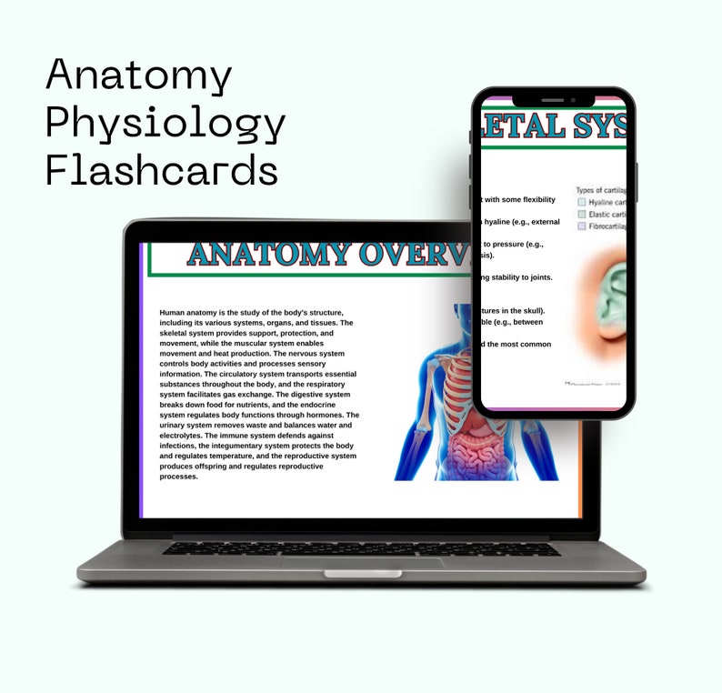 Anatomy and Physiology Flash Cards: Nursing Study Guide (PDF) - Etsy