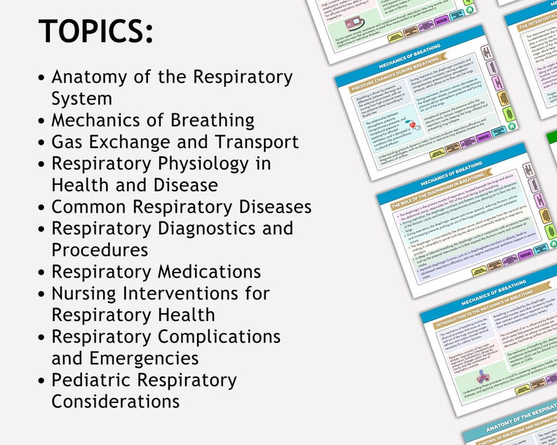 Respiratory System Flashcards Printable | Nursing Study Cards | Anatomy ...