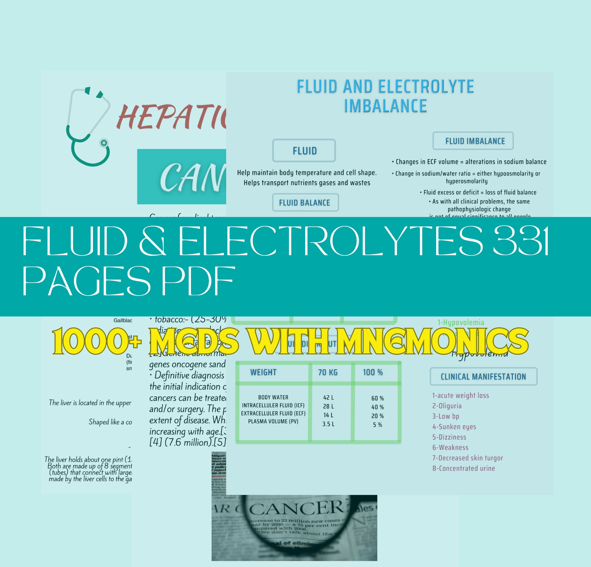 Pathophysiology Nursing Study Guide Bundle: 330+ Pages (digital ...