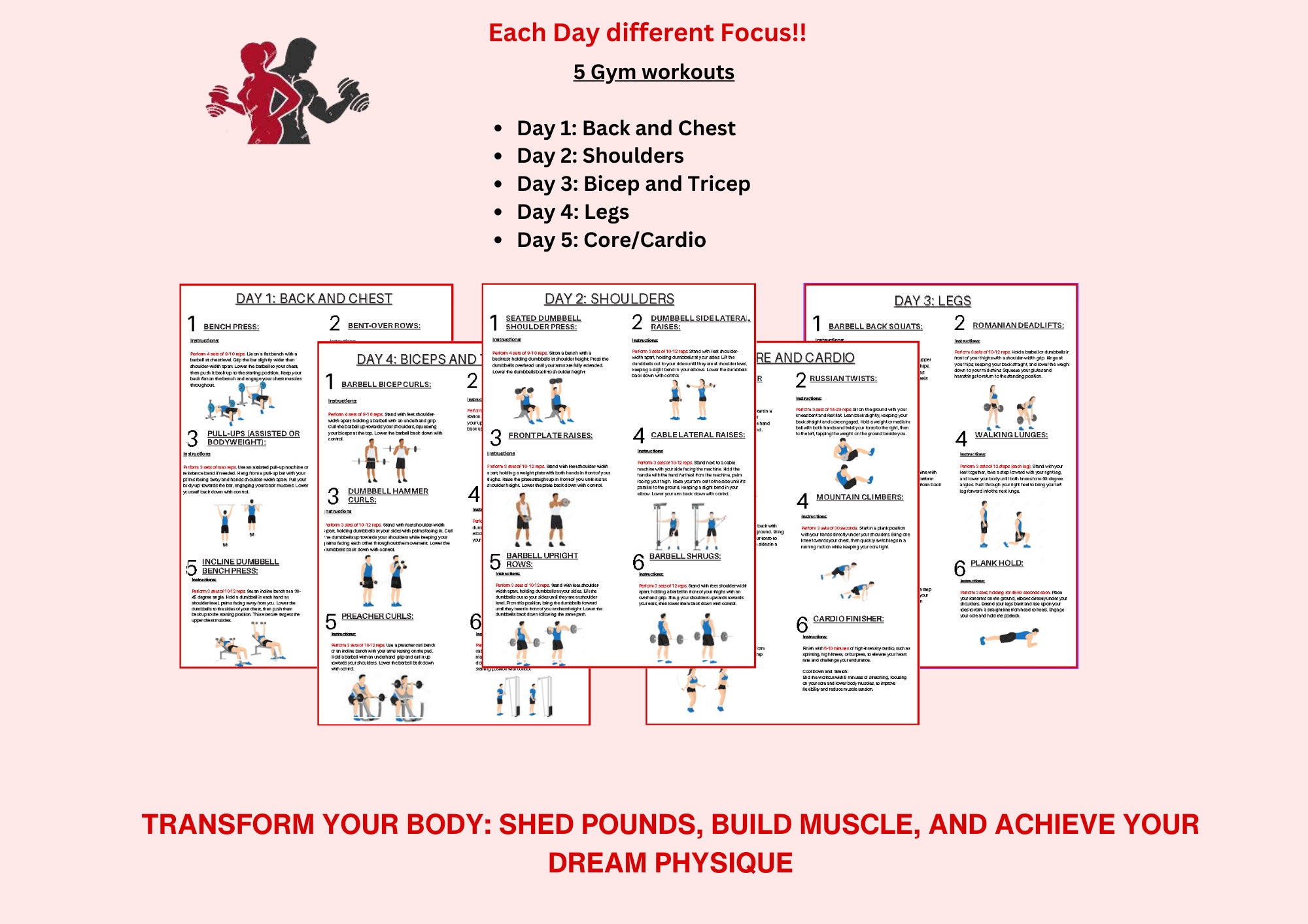 5 Day Gym Plan for Building Muscle, Includes a Weekly Gym Split Full ...