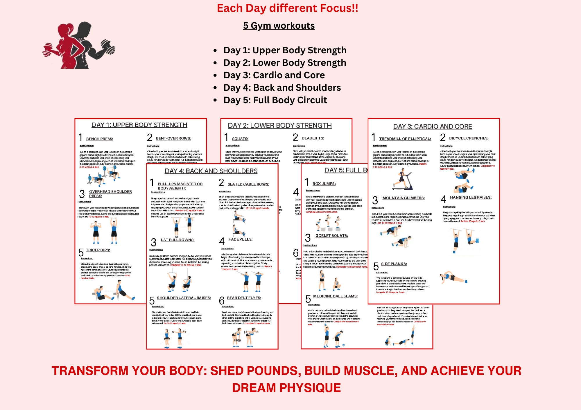 5 Day Gym Workout Plan for Strength Training, Its a Full Fitness ...