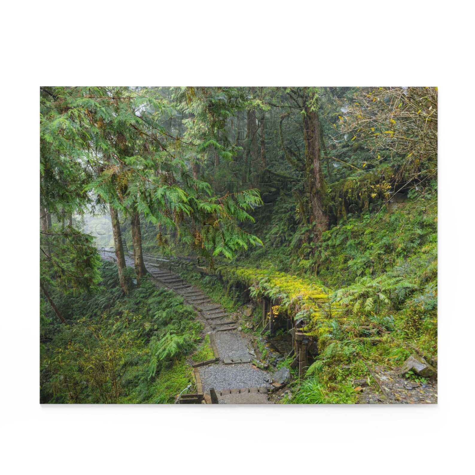 Stone Path Through the Forest Jigsaw Puzzle (120, 252, 500-piece) - Etsy