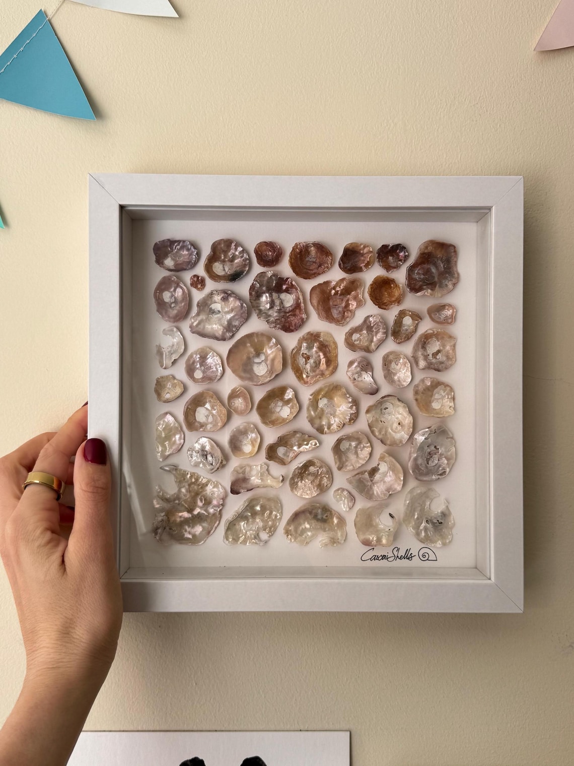 Beautiful Framed Seashell Art Made of Seashells Ethically Hand-picked ...