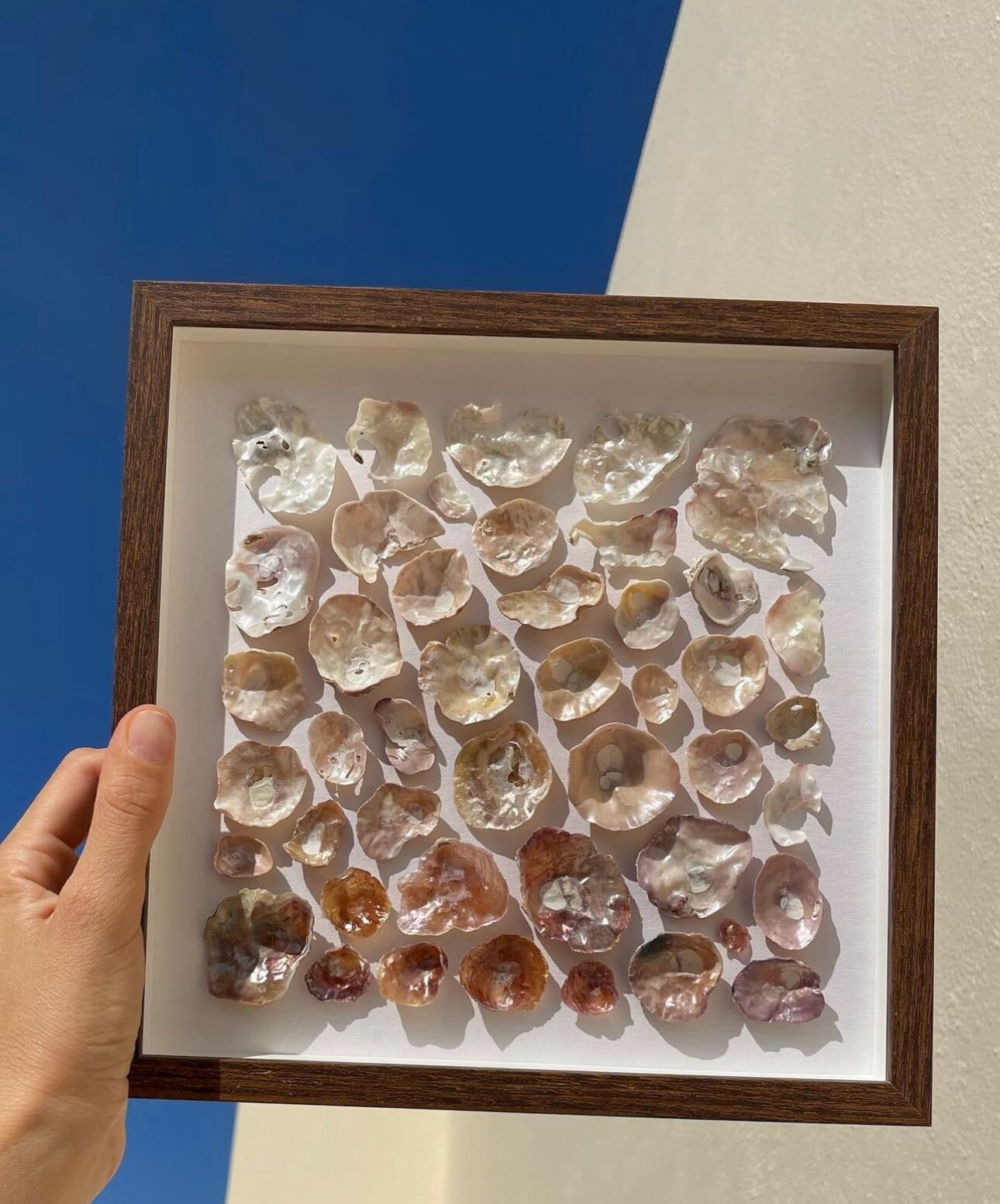 Beautiful Framed Seashell Art Made of Seashells Ethically Hand-picked ...