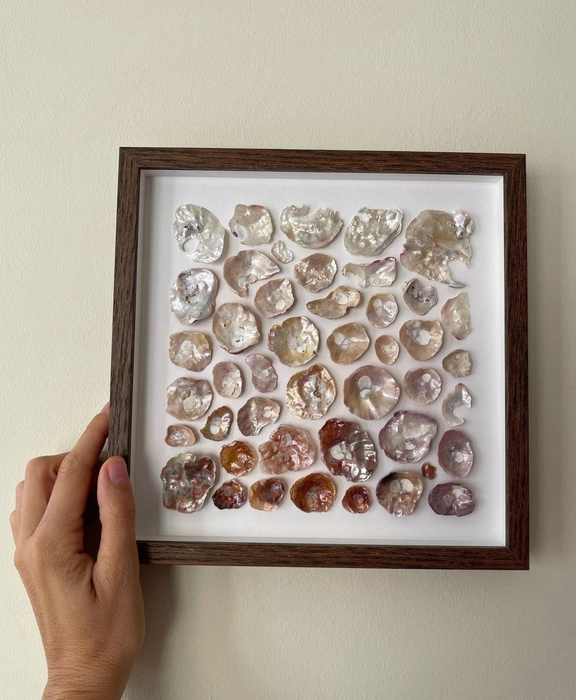 Beautiful Framed Seashell Art Made of Seashells Ethically Hand-picked ...