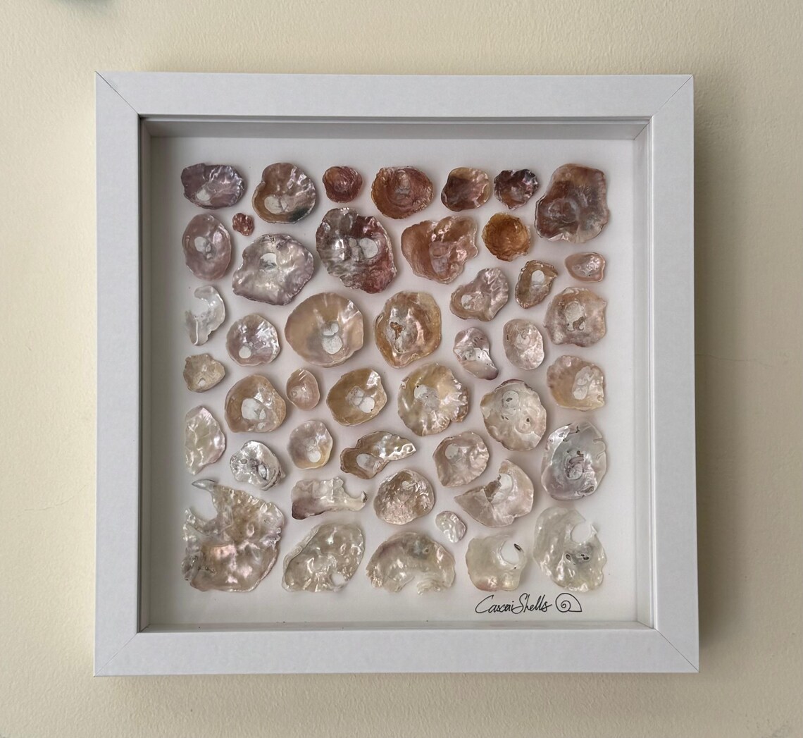 Beautiful Framed Seashell Art Made of Seashells Ethically Hand-picked ...