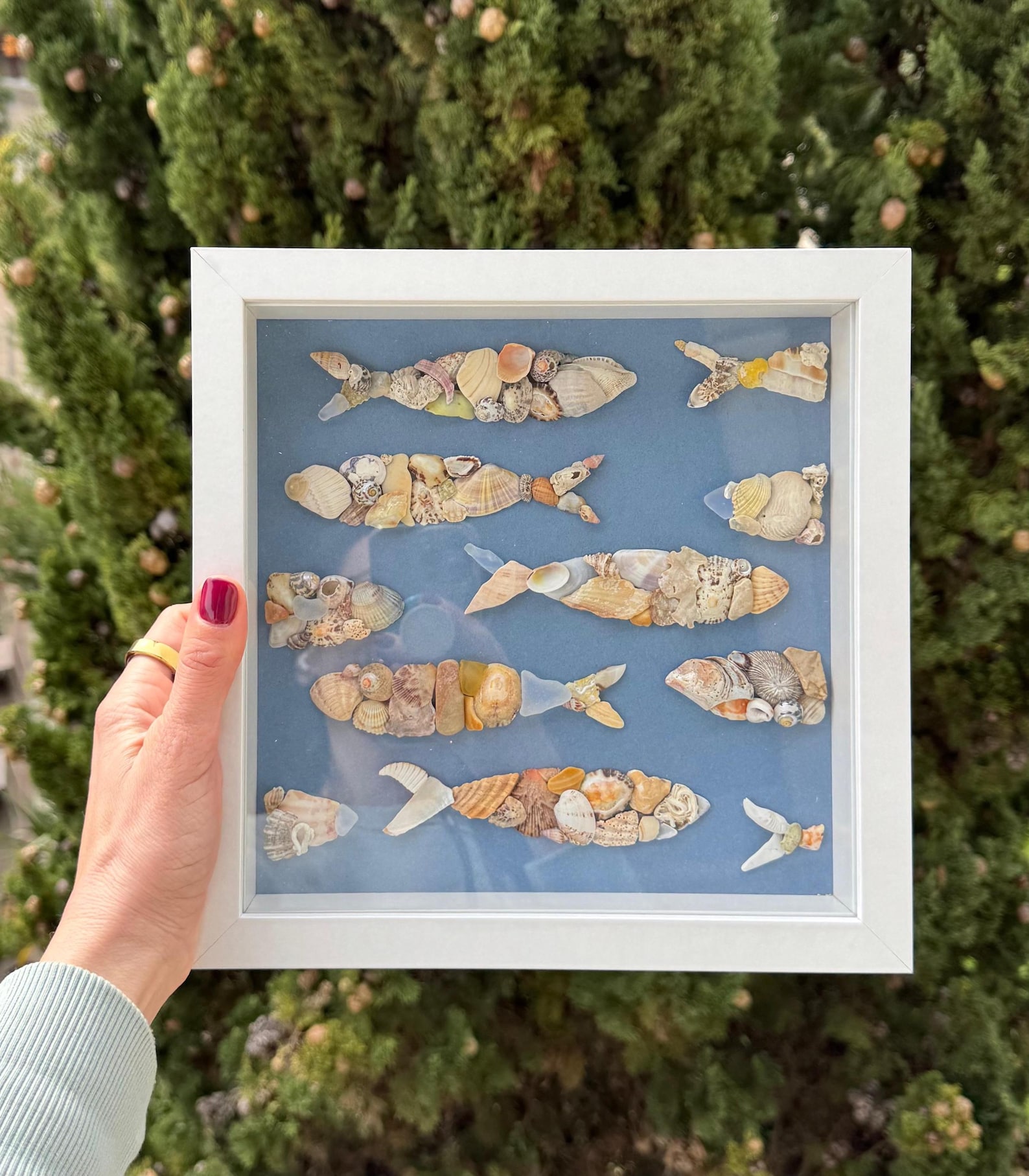 Beautiful Framed Seashell Art Made of Seashells Ethically Hand-picked ...