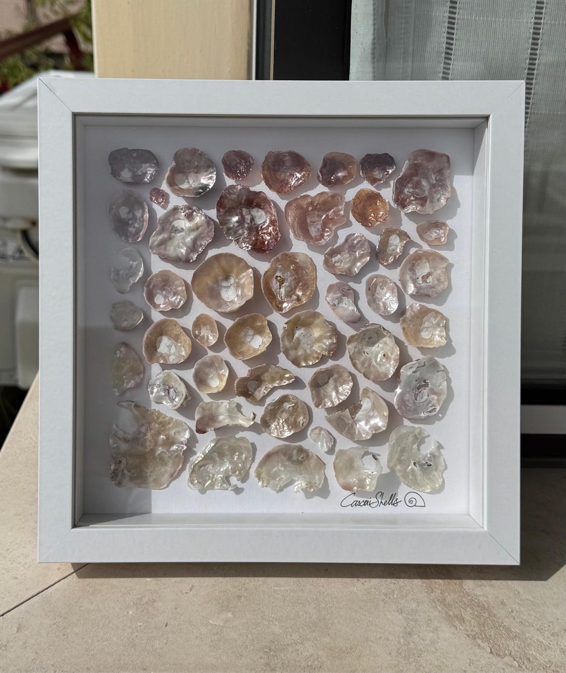 Beautiful Framed Seashell Art Made of Seashells Ethically Hand-picked ...