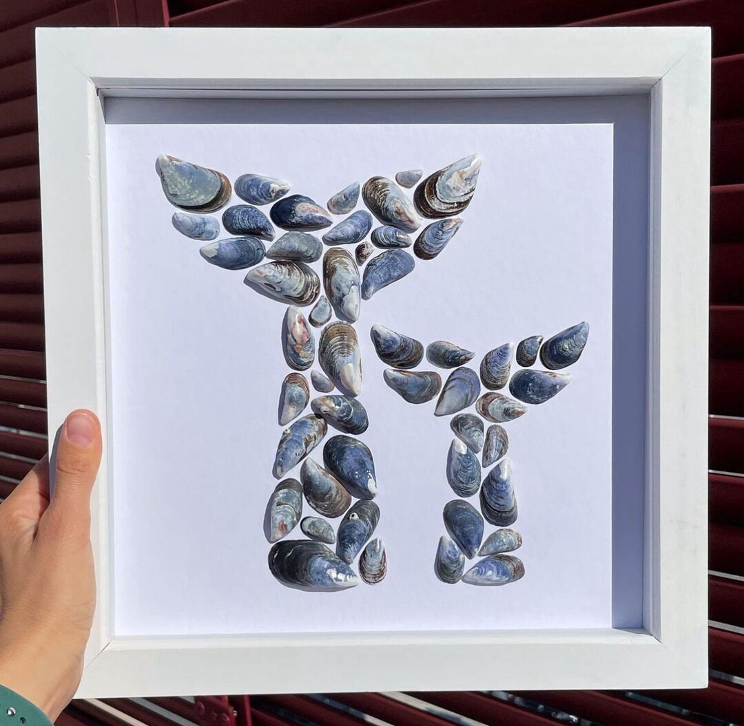 Mussle Seashells Whale Tails could Be a Mom/dad With Their Child or a ...