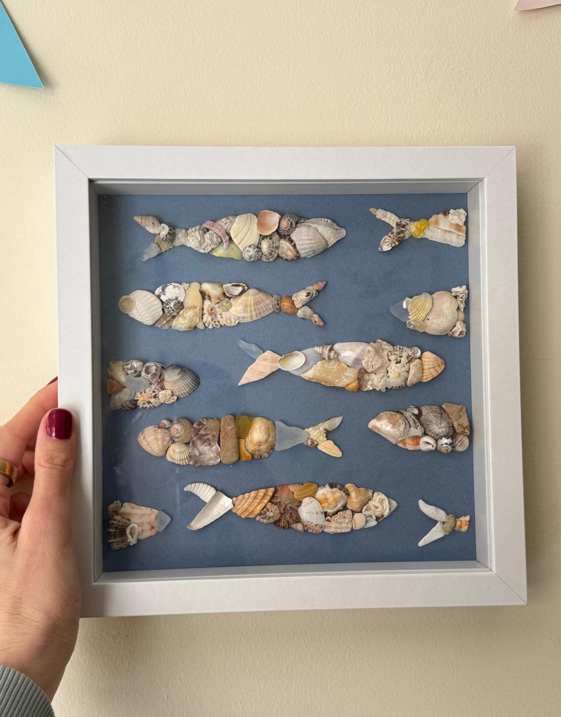 Beautiful Framed Seashell Art Made of Seashells Ethically Hand-picked ...