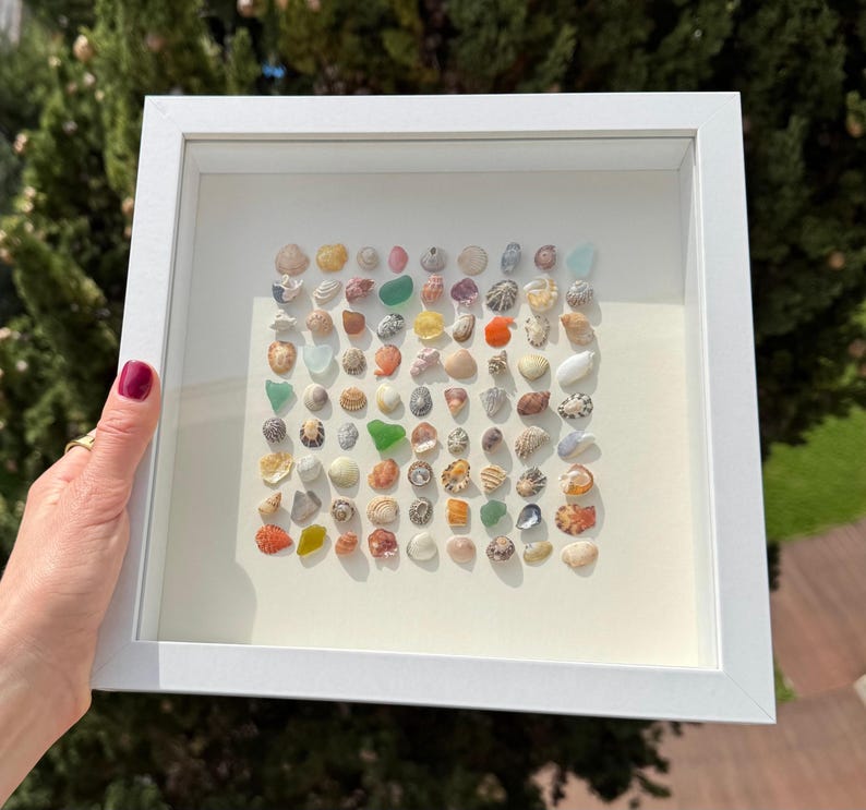 Beautiful Framed Seashell Art Made of Seashells Ethically Hand-picked ...