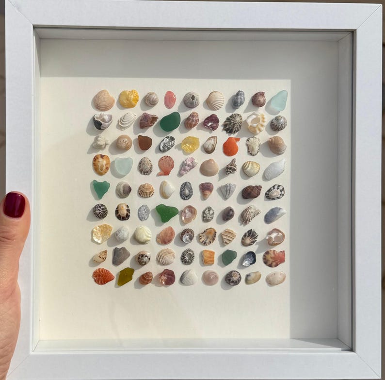 Beautiful Framed Seashell Art Made of Seashells Ethically Hand-picked ...