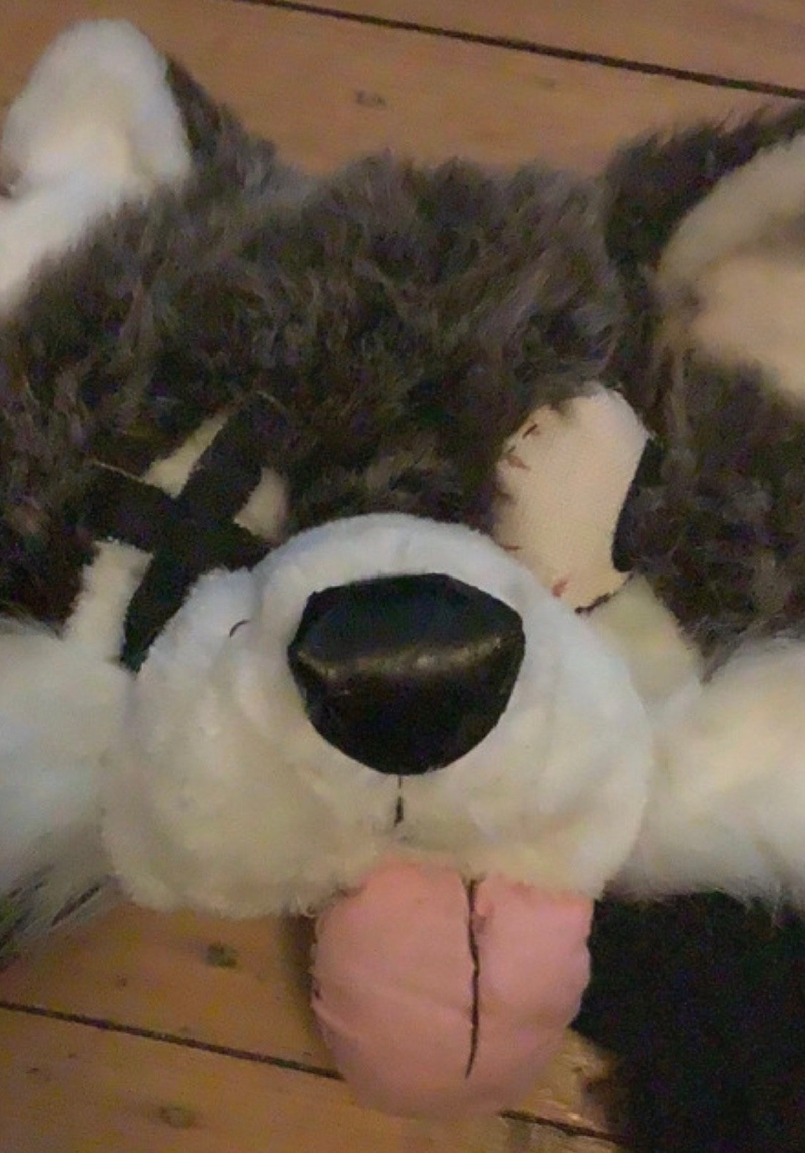 Custom Furry Wolf Hat - Etsy