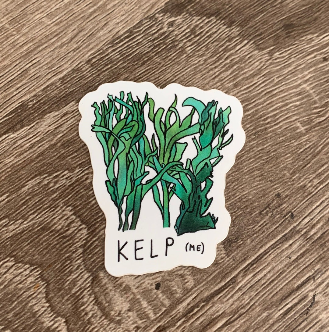 Kelp (me) Sticker - Etsy