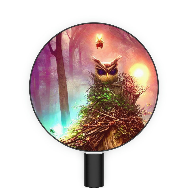 Charger Wireless Magnetic Induction Owl and Fairy Fae Cool Portable ...