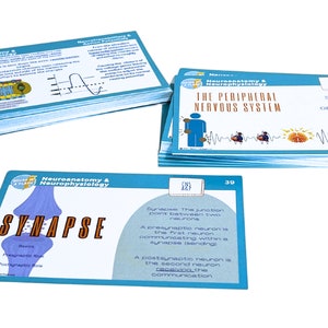 Neuroanatomy & Neurophysiology Flashcards | EEG Technologist | the ...