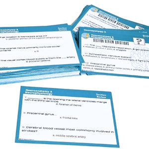 Neuroanatomy & Neurophysiology Flashcards | EEG Technologist | the ...