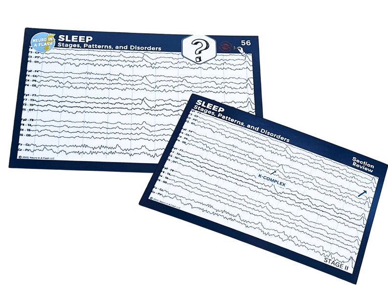 EEG Sleep Stages, Patterns, and Disorders Flash Card Deck ...