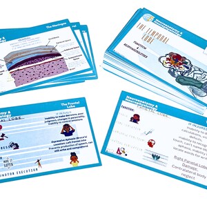 Neuroanatomy & Neurophysiology Flashcards | EEG Technologist | the ...