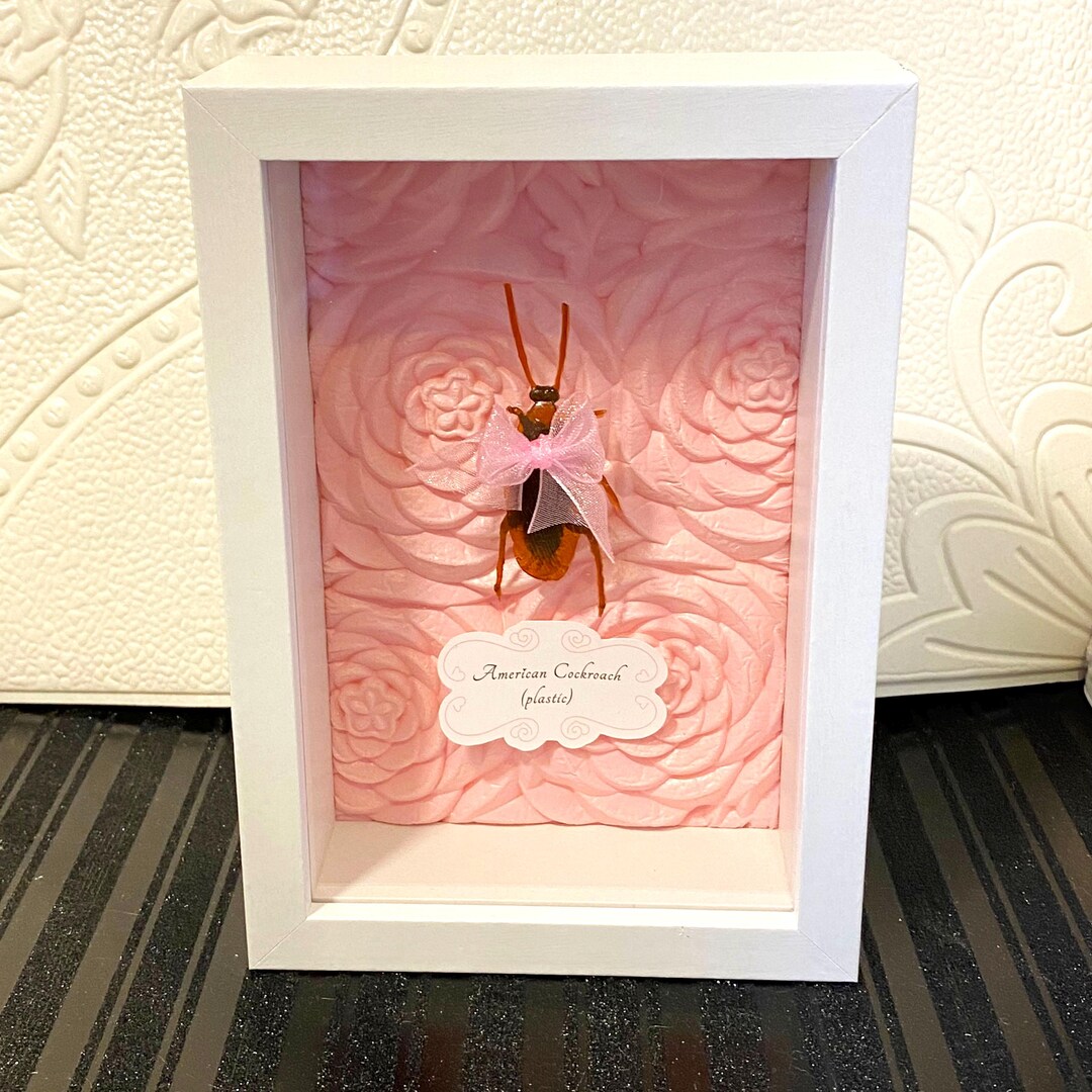 Fake Bow Bug Specimen Gag Gift - Etsy