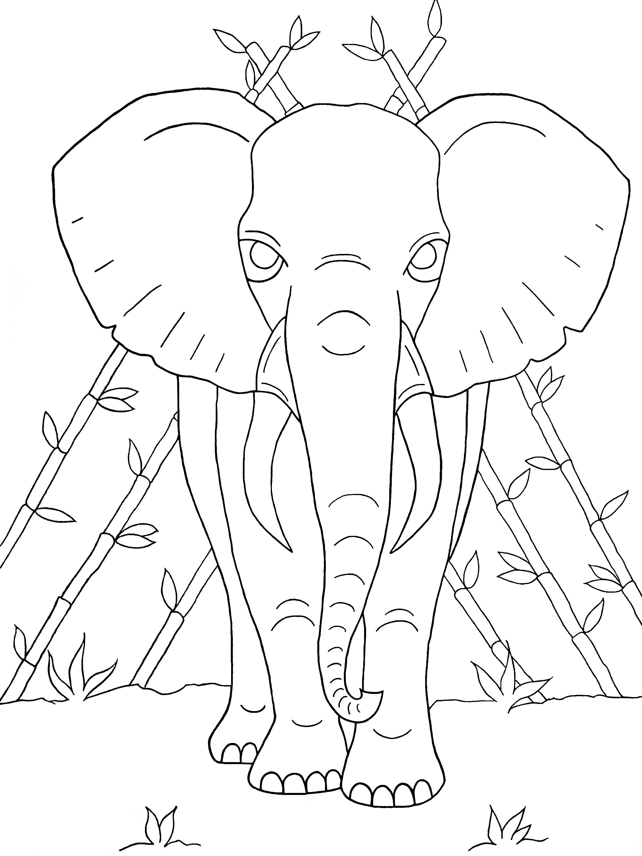 Hand Drawn Coloring Pages - Etsy