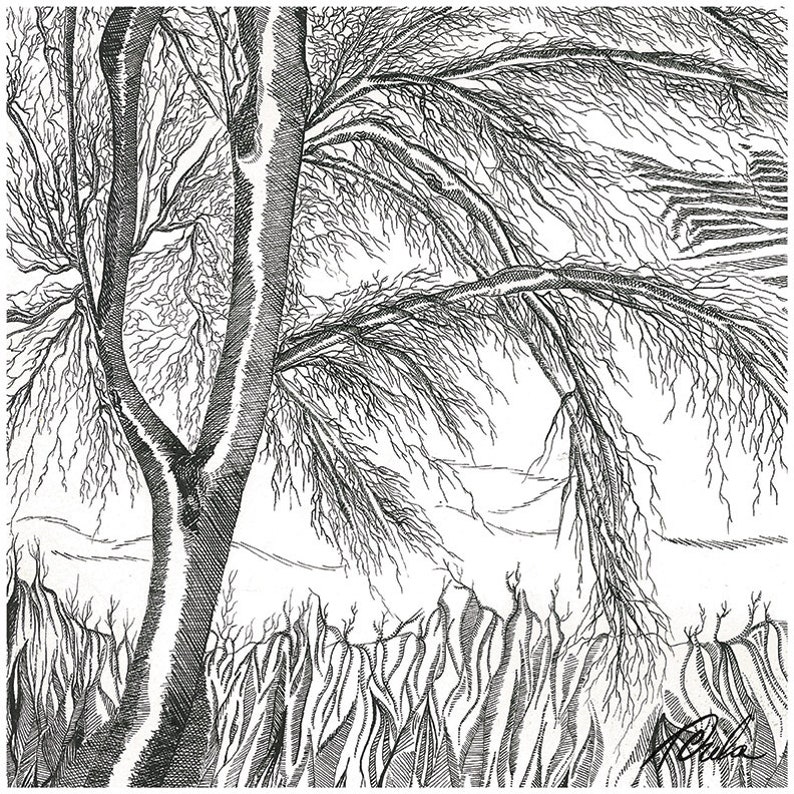 Art Print - Goddard Memorial Park of Trees - From Original Illustration ...