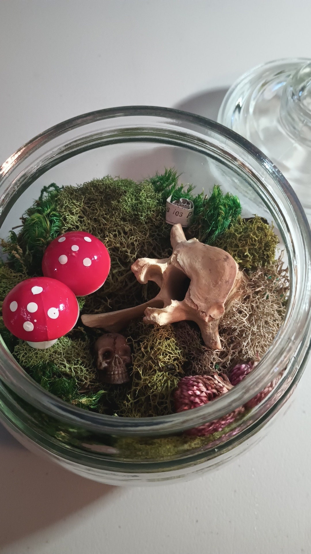 From DEATH Comes Life Terrarium - Etsy