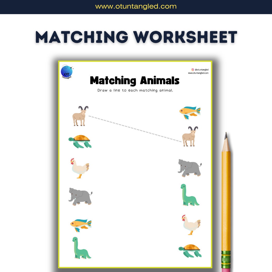 Matching Animal Worksheet - Etsy