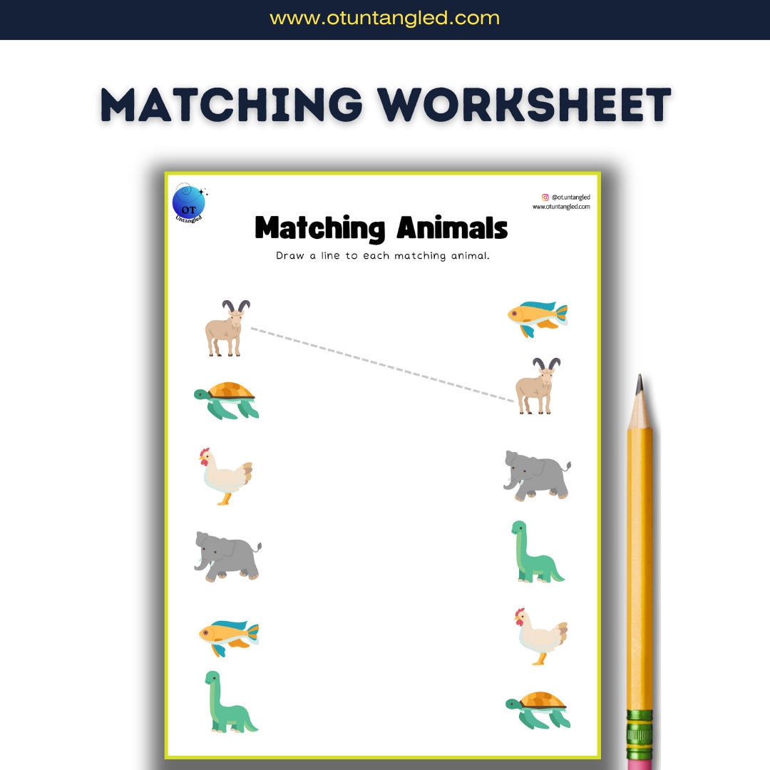 Matching Animal Worksheet - Etsy
