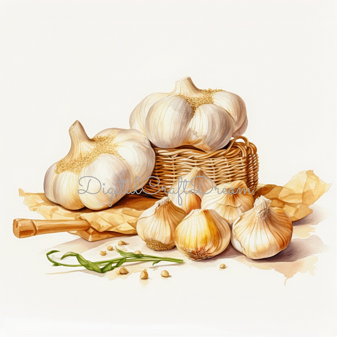 Realistic Garlic Digital Art - Printable Kitchen Clip Art. Vintage ...