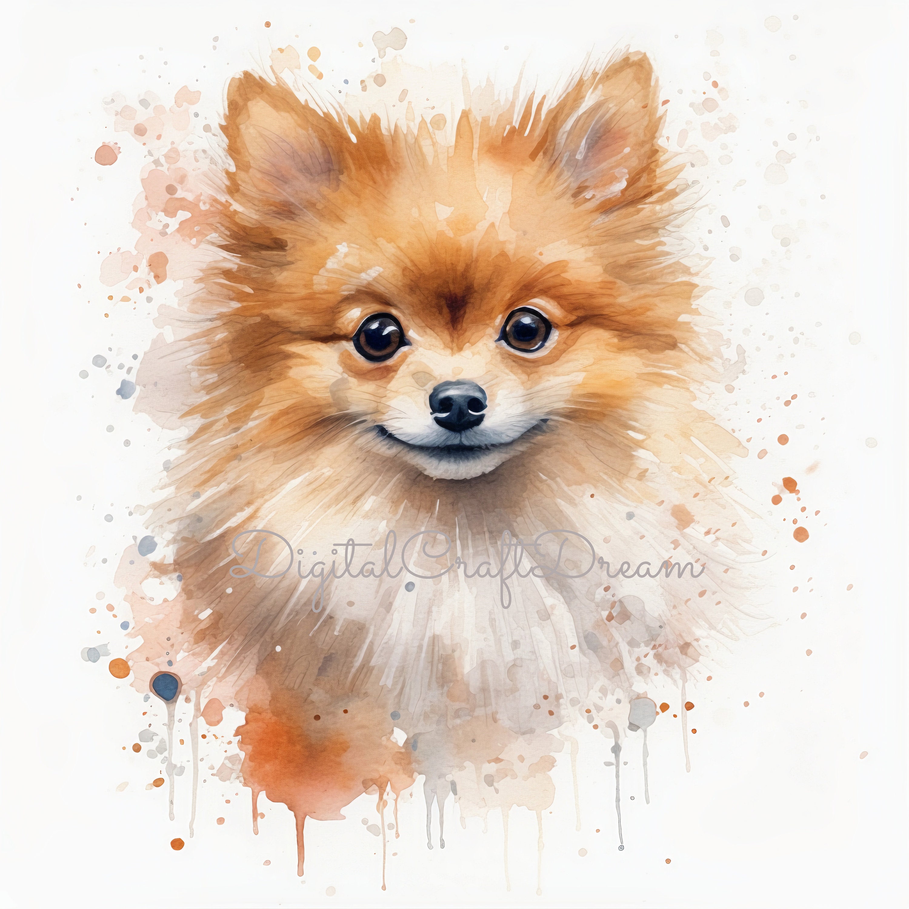Pomeranian Clipart, 10 High Quality Jpgs, Digital Crafting, Digital ...