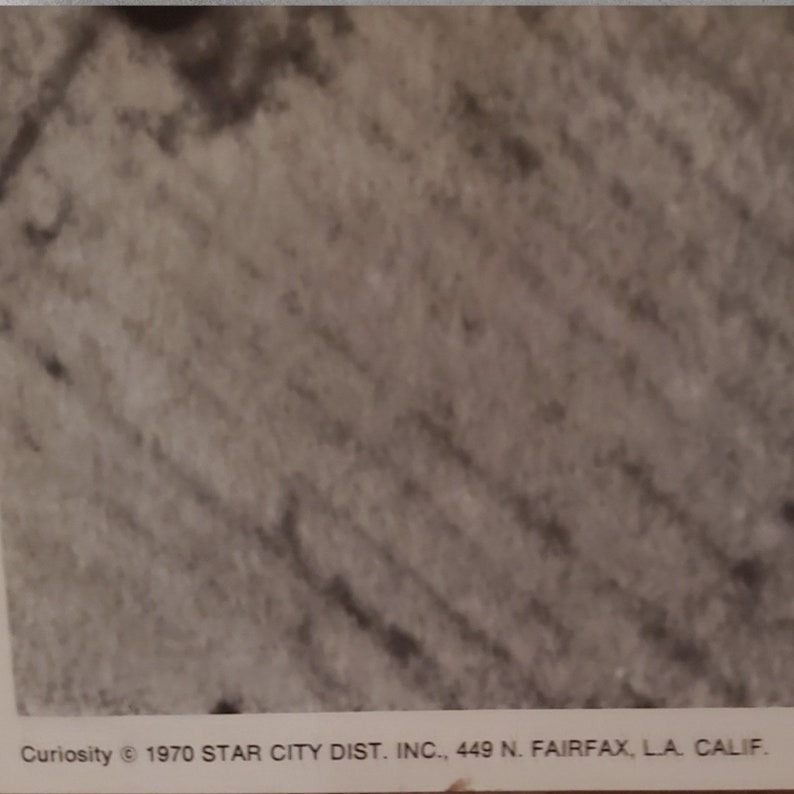 1970 Vintage curiosity Cat Poster Super Cute Original Good Condition ...