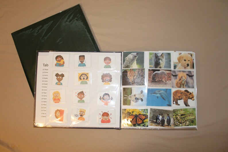 Lg. PECS Book- ABA Therapy - Etsy