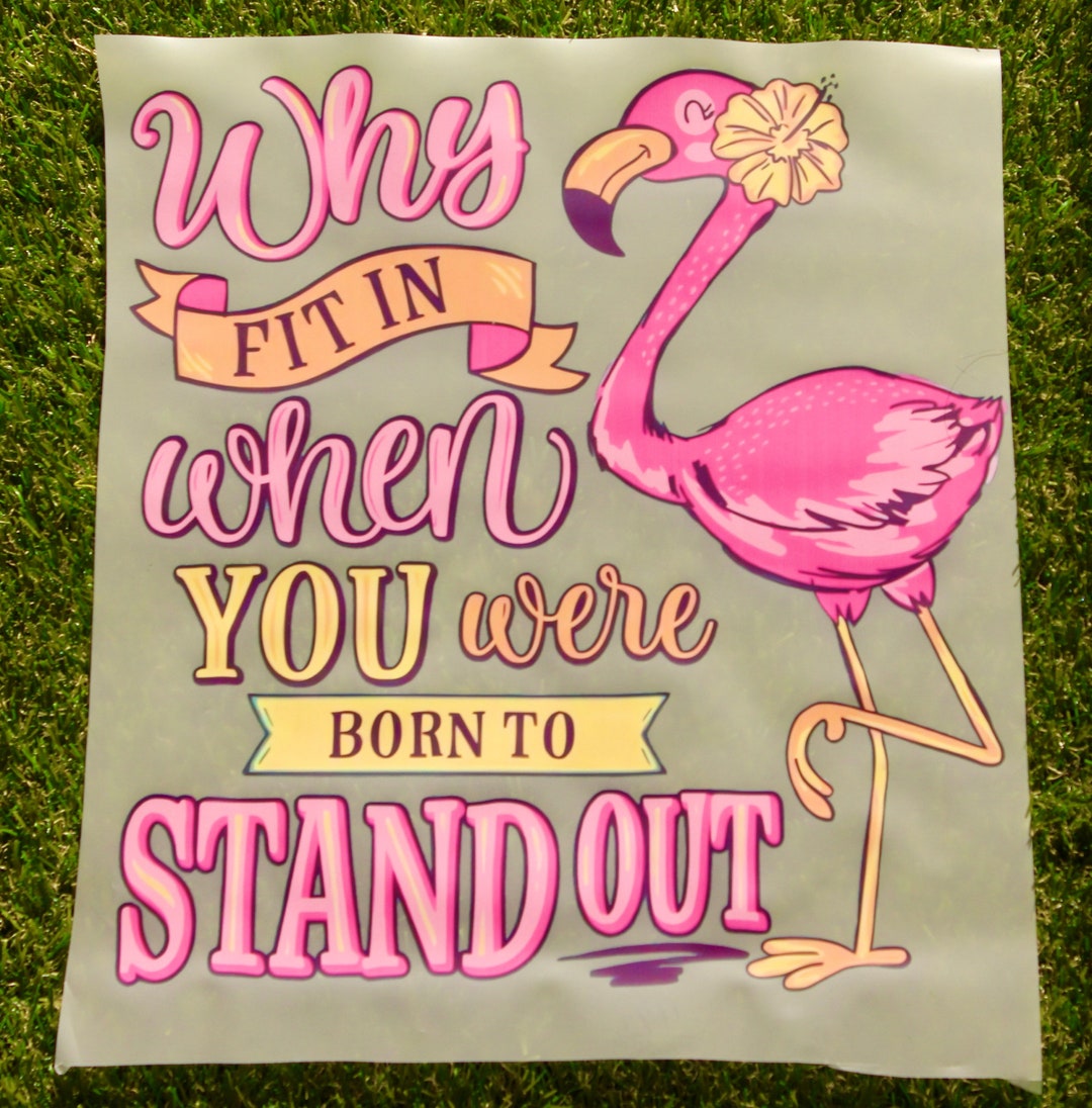 Why Fit in When You Were Born to Stand Out DTF Transfer. Flamingos Dtf ...