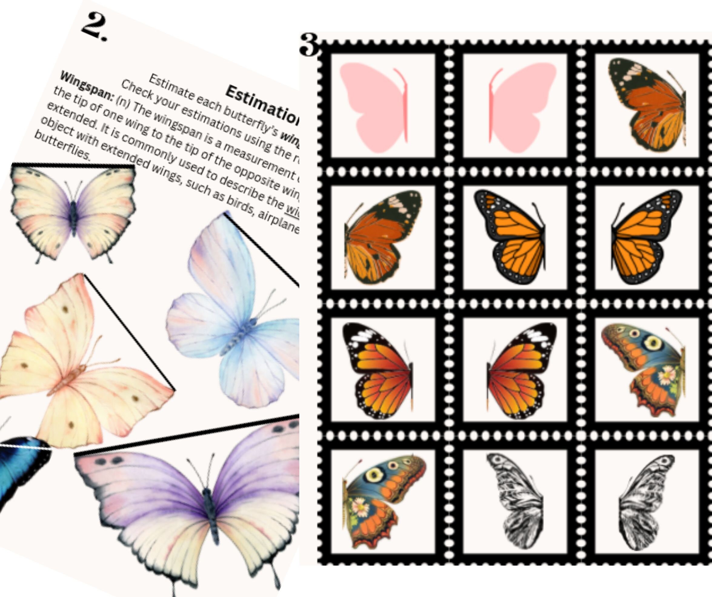 Butterfly Science Unit for School Age Homeschool Learning - Etsy