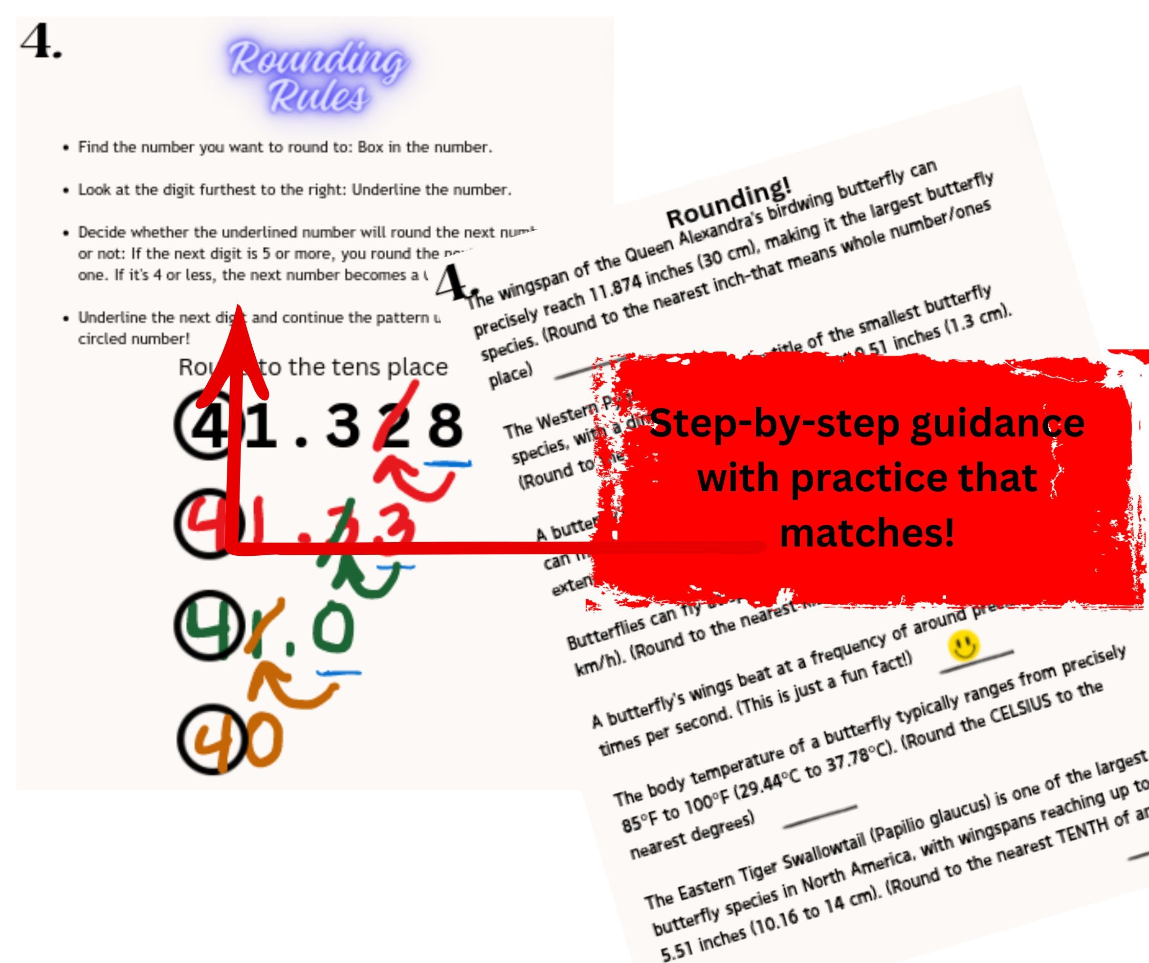 Butterfly Science Unit for School Age Homeschool Learning - Etsy