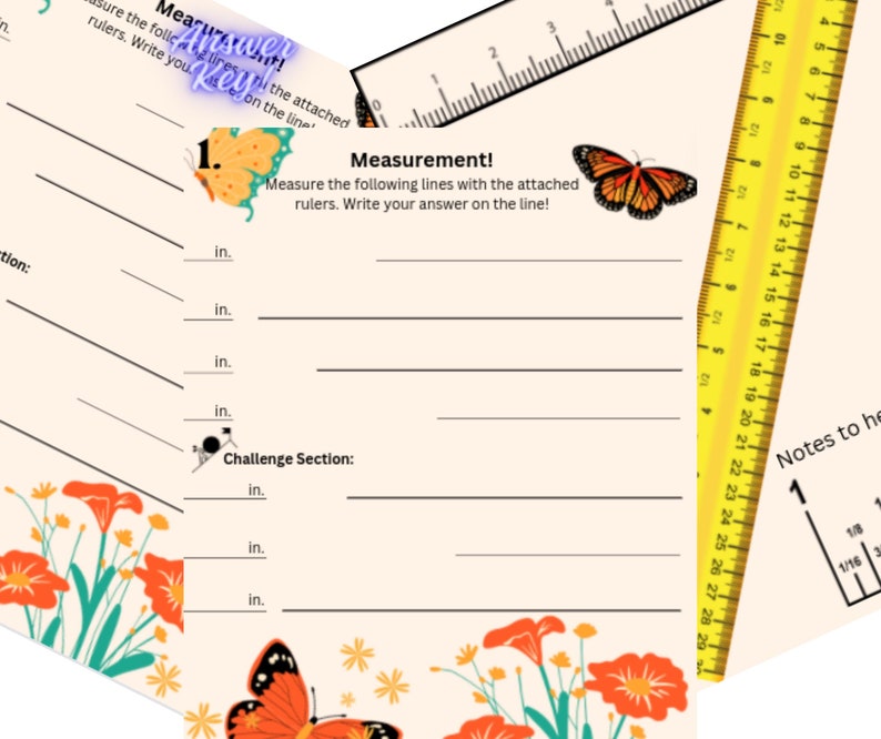 Butterfly Science Unit for School Age Homeschool Learning - Etsy