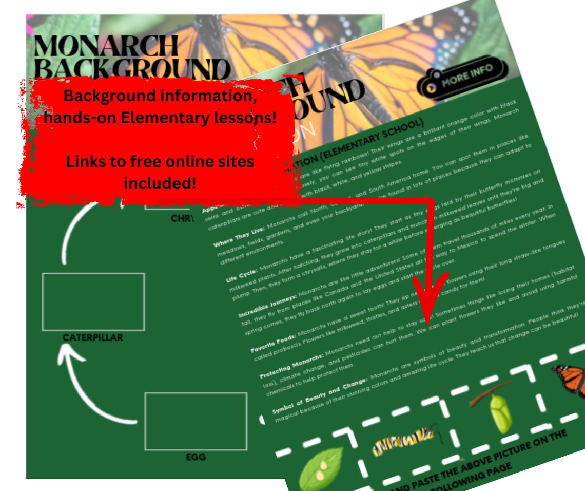 Butterfly Science Unit for School Age Homeschool Learning - Etsy