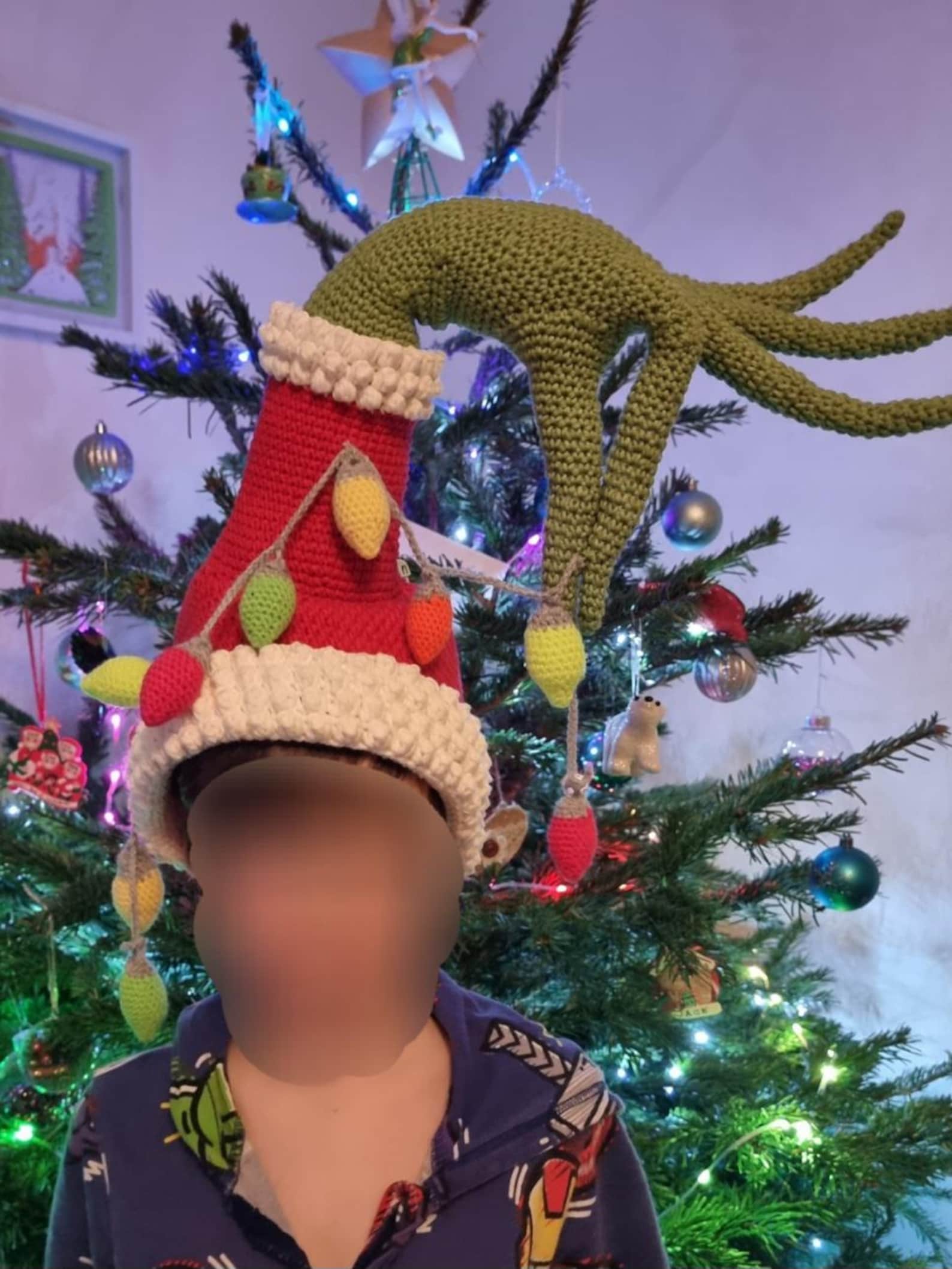 Grinch Inspired Christmas Hat - Etsy