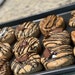 Variety Box - Etsy