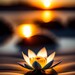 Greeting Card / Greeting Card | Lotus Flower With Sunset / Lotus Flower ...