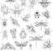 Insect Tattoo Stencil Set: Bumble Bee, Dragonfly, Ladybug (set of 4) - Etsy