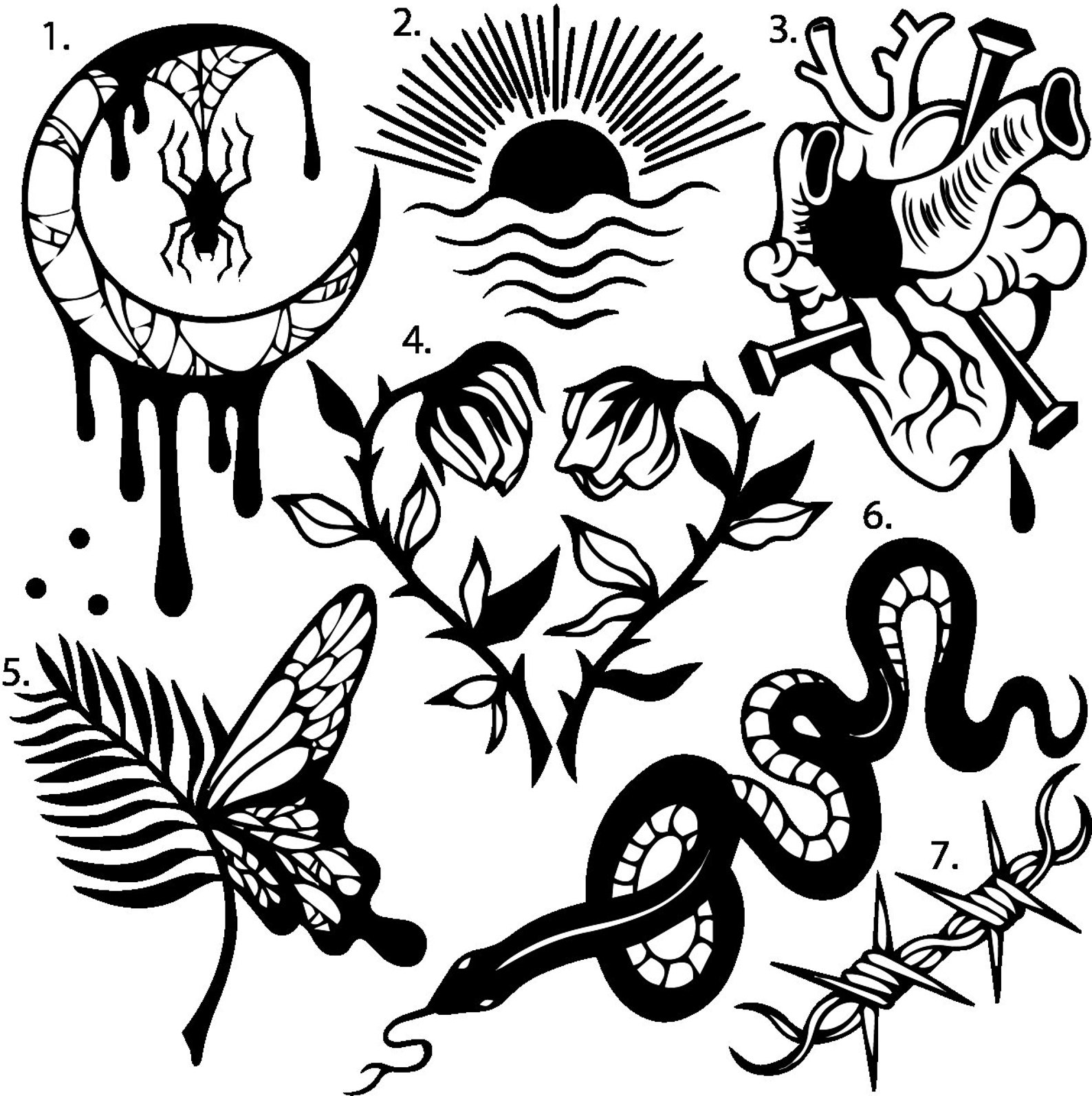 Pre-made Ready to Use Moon Spider Roses Butterfly Snake Flash - Etsy