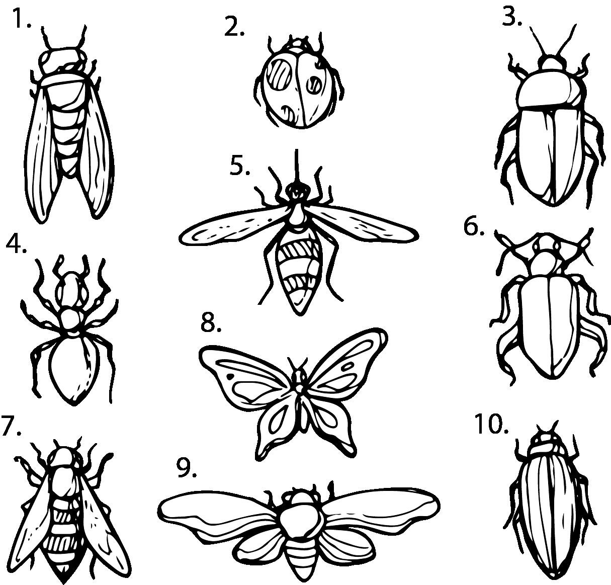 Pre-cut Ready to Use Bug Tattoo Stencil Designs Set of 4 - Etsy